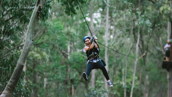 Mount Tamborine TreeTop Challenge & High Ropes Adventure Park | Australia